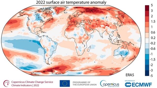 for IPPS & Developers - CleanTech Terra | Consulting | Training | Advisory